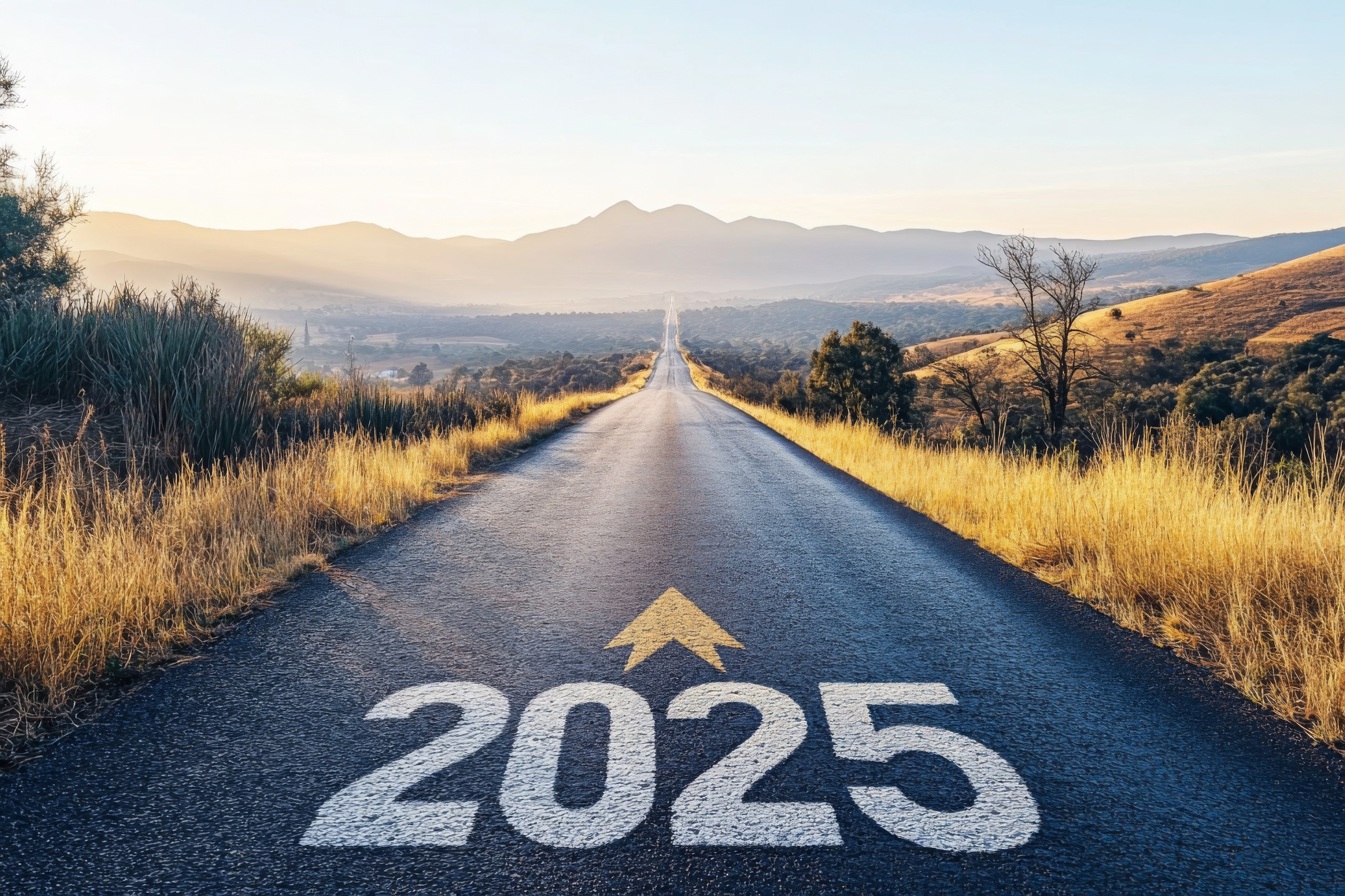 Web Design Trends 2025: What's Next for the Digital World? - Narcis Negru